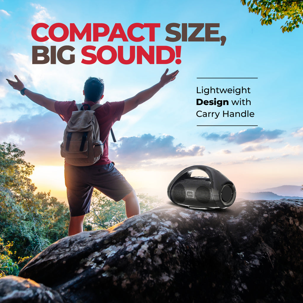pTron Fusion Go 10W BT Speaker - pTron India